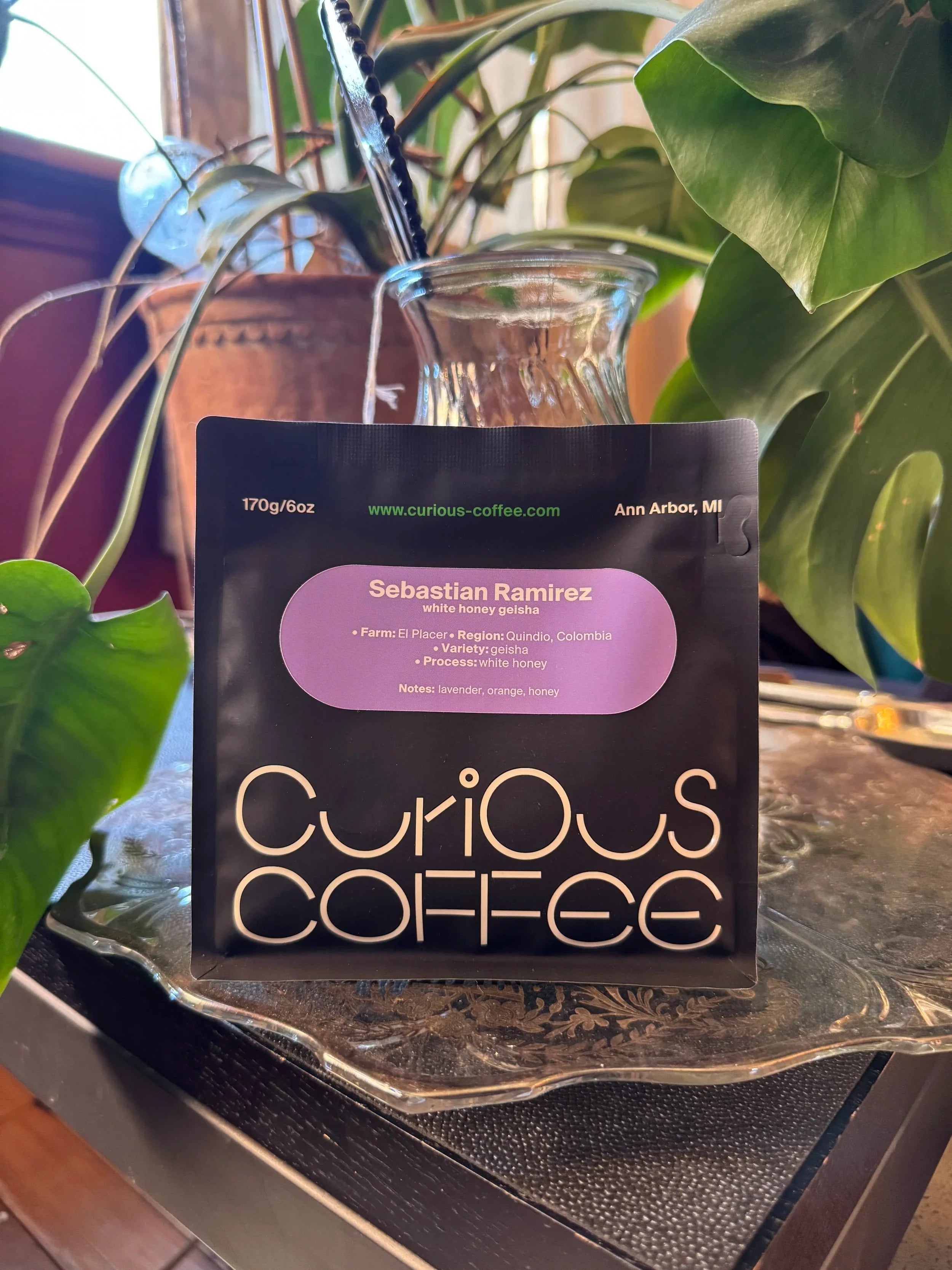 CURIOUS COFFEE – HYUNAH Coffee Club