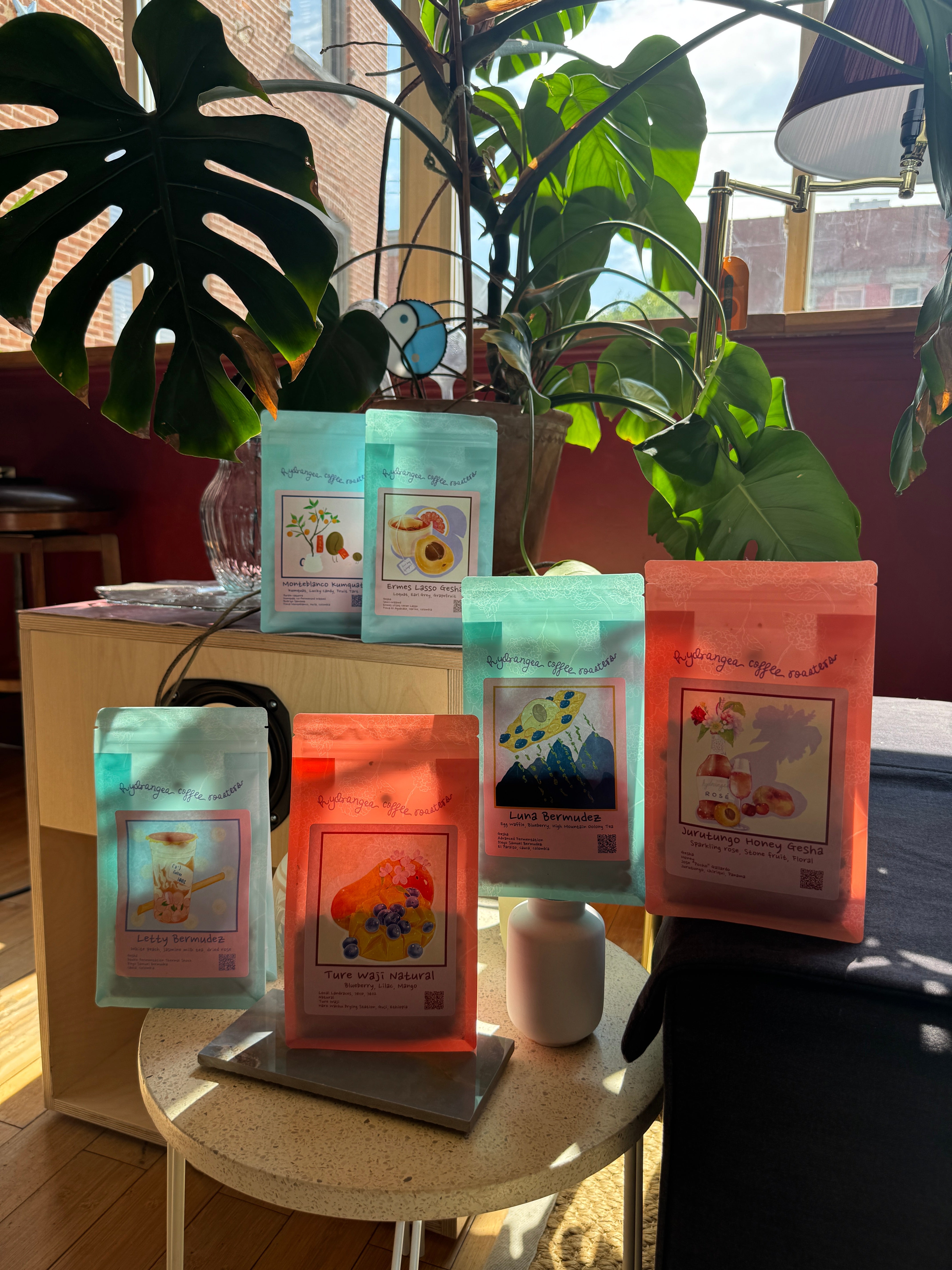 HYDRANGEA – HYUNAH Coffee Club
